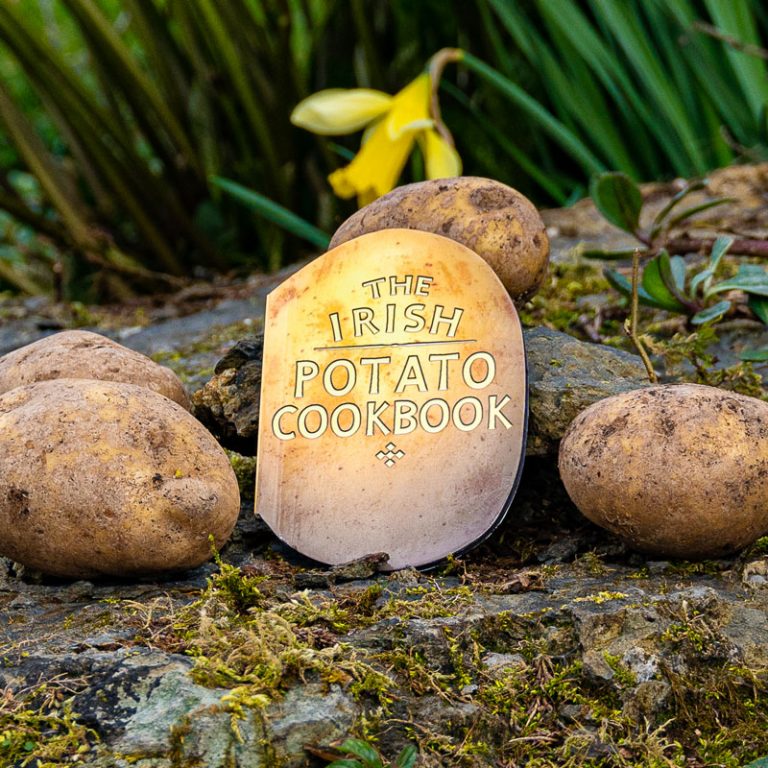 Cook Book - Traditional Irish Cooking For Today by Brian McDermott